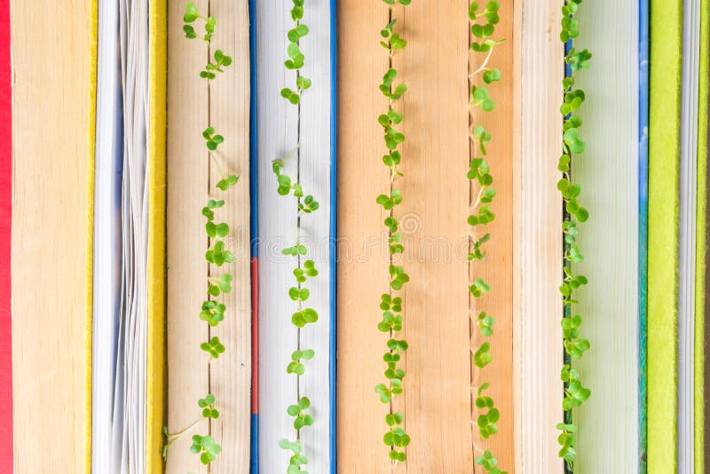 Green Plants Growing in Book Pages Stock Image - Image of literary ...