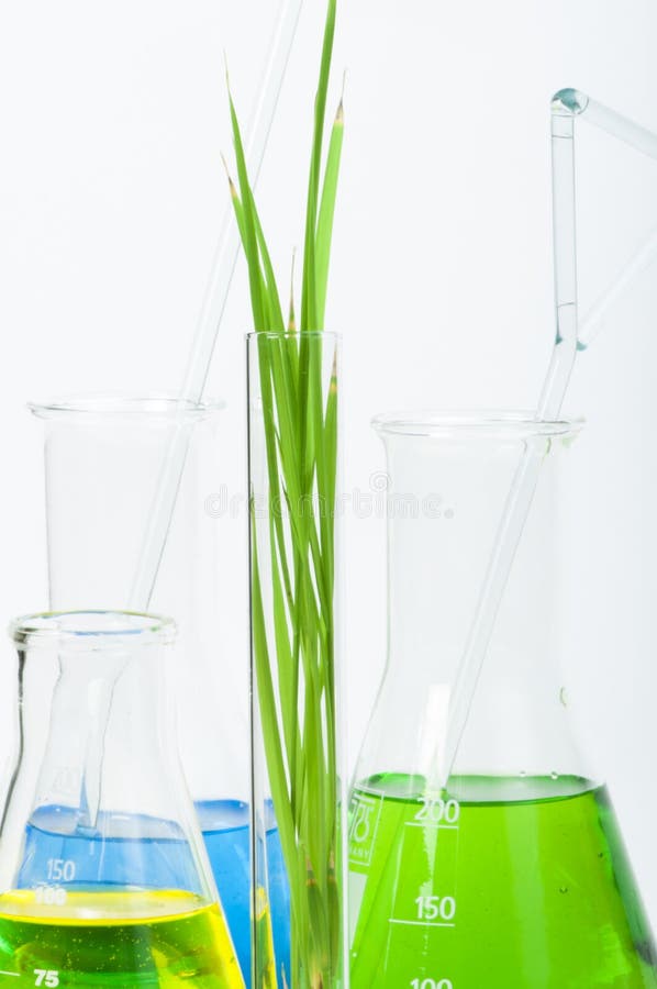 Green Plants in Laboratory Equipment Stock Photo - Image of grass ...