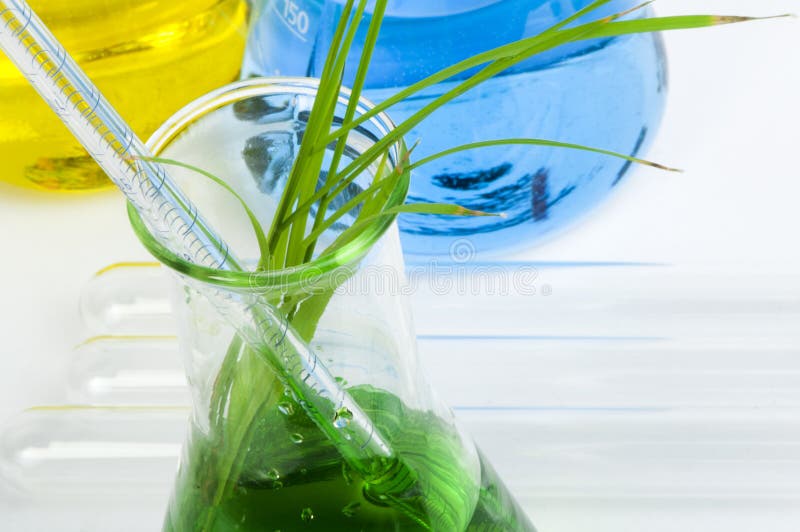 Green Plants in Laboratory Equipment Stock Image - Image of growth ...