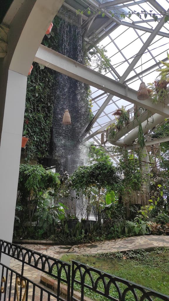 Green Plants in Large Atrium Stock Photo - Image of interior ...