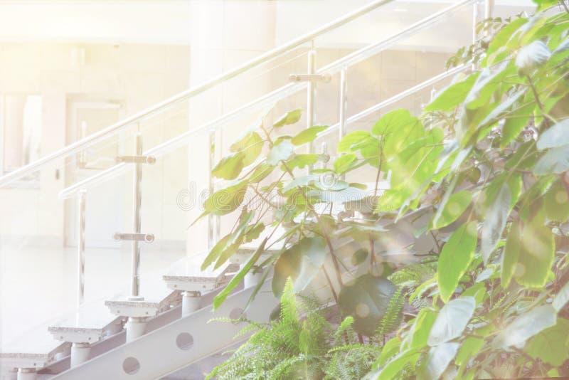 1,956 Office Greenery Background Stock Photos - Free & Royalty-Free ...