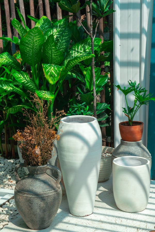 Green plants at outdoor stock photo. Image of greenery - 198189560