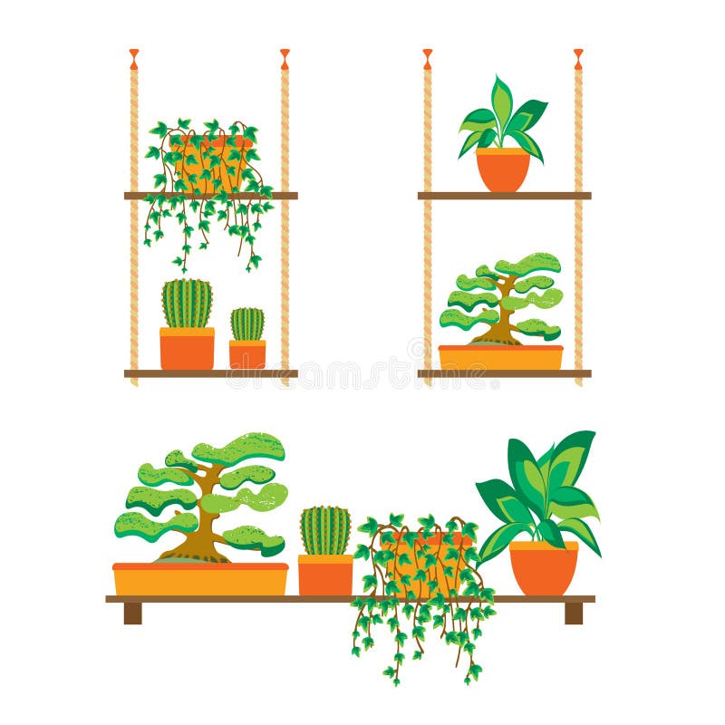 Green Plants Shelves for Home or Office. Vector Stock Vector ...