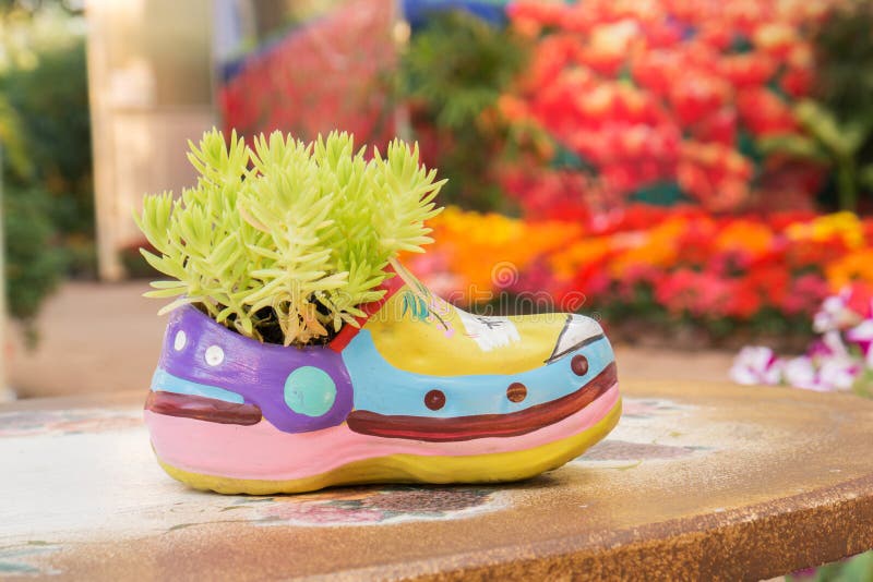 Green Plants in Shoe-shaped Flowerpot Stock Image - Image of grasses ...