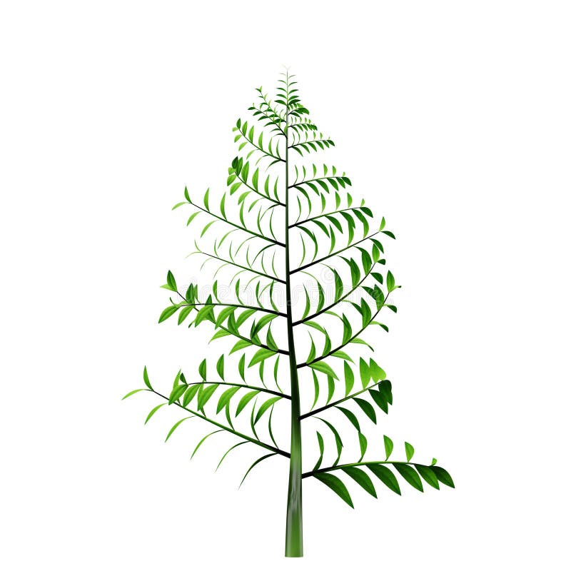 Green Plants, Springs, Leaf on Transparent, Plants Elements Stock Image ...