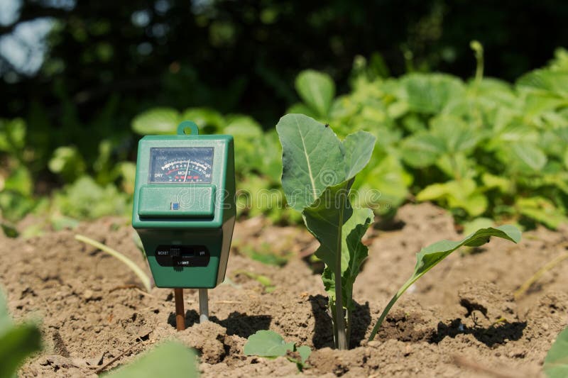 Soil Moisture, Light Intensity and PH Testing Meter Stock Illustration ...
