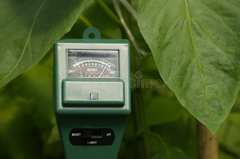 Three Way Meter PH, Light and Moisture in the Soil Stock Image - Image ...