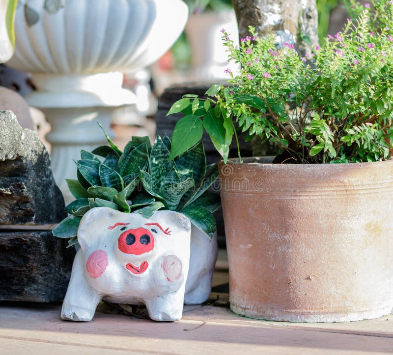 Green Plants in White Pig Pot Stock Photo - Image of fresh, bloom ...