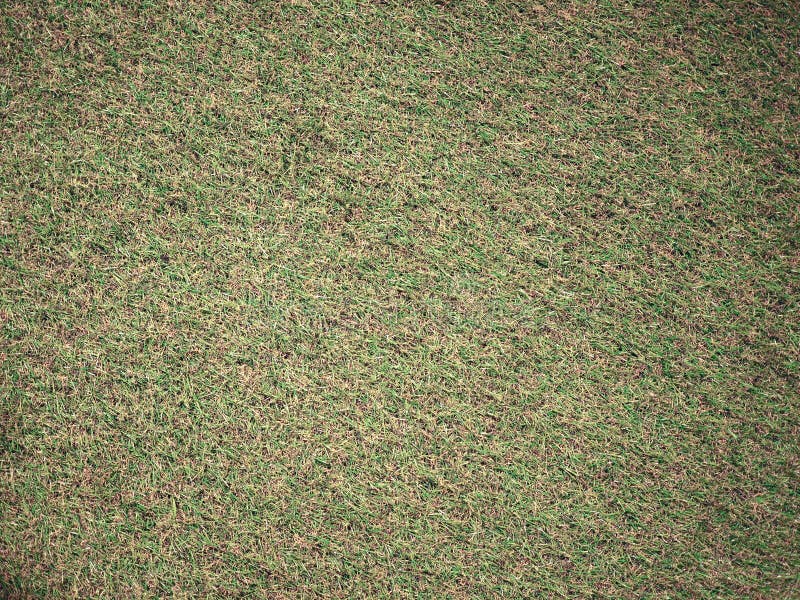 Green Plastic Artificial Grass Texture Background Stock Image - Image ...