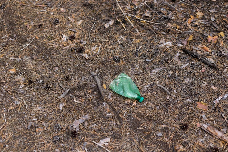 Green Plastic Bottle on the Ground in a Pine Forest Stock Image - Image ...