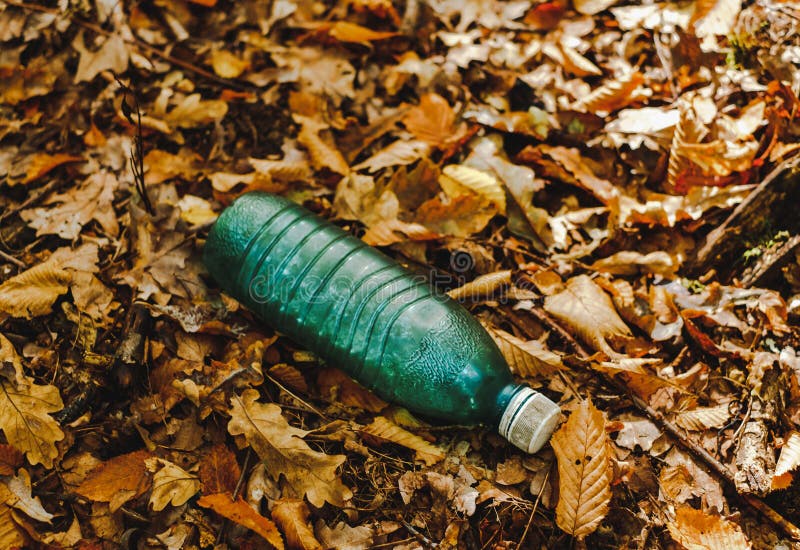 A Green Plastic Bottle Thrown into the Forest Stock Image - Image of ... A Green Plastic Bottle Thrown into the Forest Stock Image - Image of ...