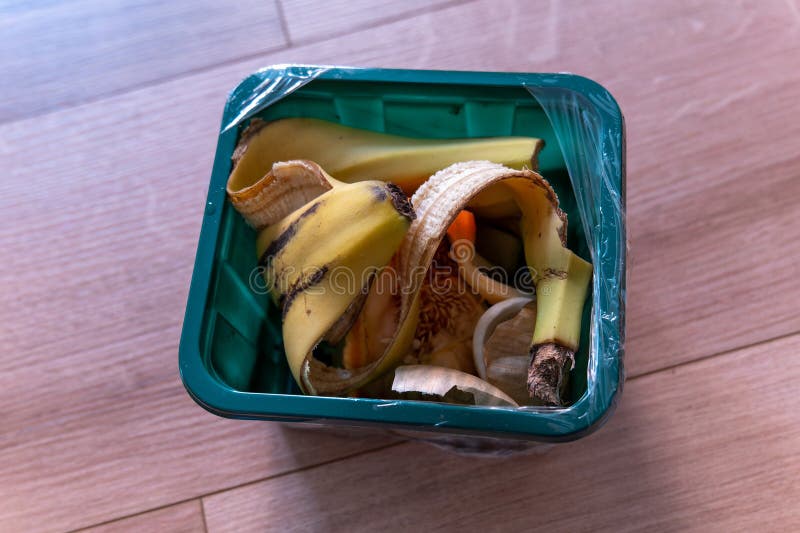 Plastic Container with Fruit and Vegetable Waste Stock Photo - Image of ...