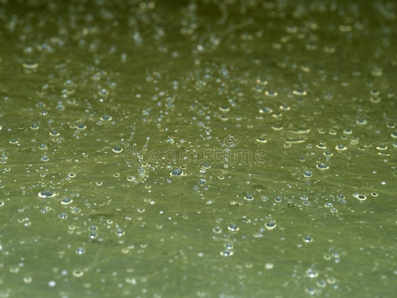 Green Plastic with Raindrops Stock Photo - Image of weather, droplet ...