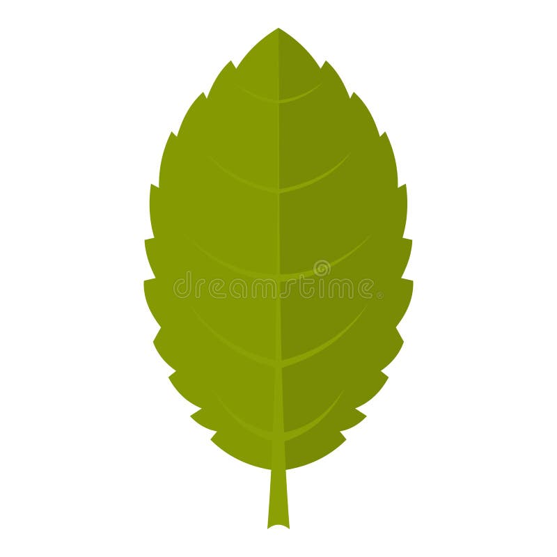 Green Plum Illustration on White Background Stock Illustration ...