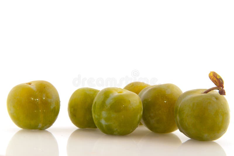 Green plums stock image. Image of fresh, plums, ripe - 17443863