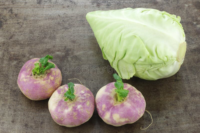 Green Pointed Cabbage and Some Spring Turnips Stock Image - Image of ...