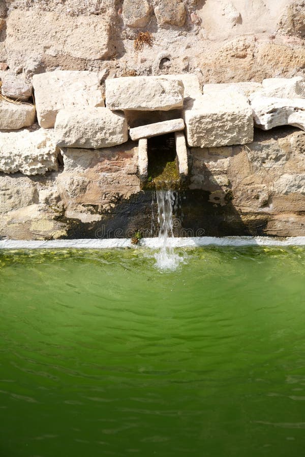 Green pond stock photo. Image of green, andalucia, andalusia - 18834366