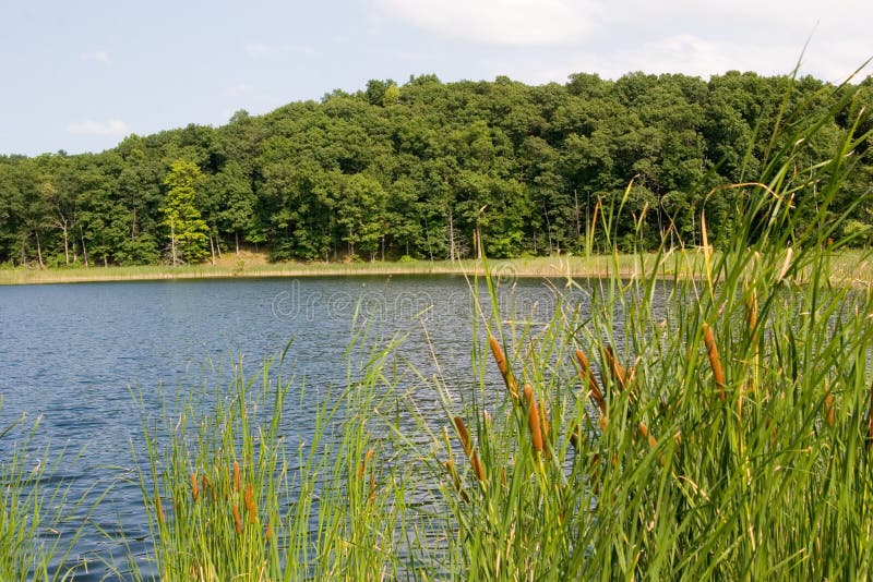 Green Pond stock image. Image of lake, outdoors, park, landscape - 527607