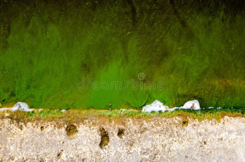 53,419 Pond Texture Stock Photos - Free & Royalty-Free Stock Photos ...