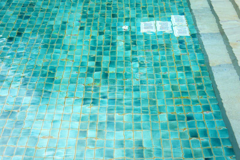 Green pool water stock image. Image of pool, nature, sunny - 41259223