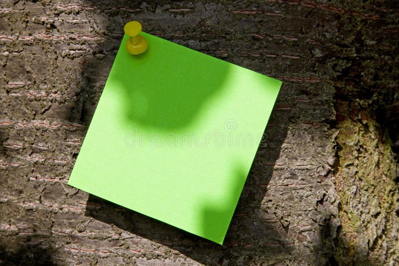 Green Post-it on a Tree stock image. Image of memo, attach - 14562513