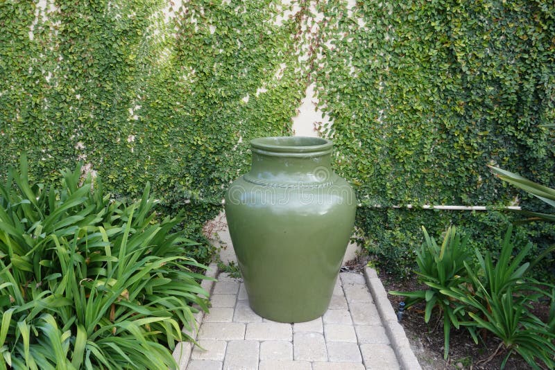 Green pot stock image. Image of gardens, plants, happy - 38355667