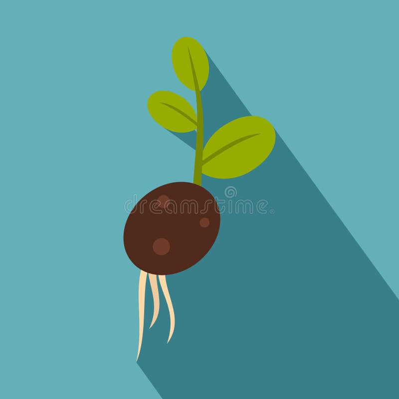 Green Potato Sprout from the Root Icon, Flat Style Stock Vector ...