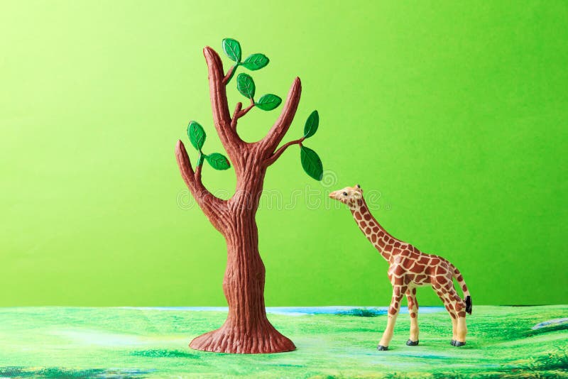 Green potted stock image. Image of home, flowers, animal - 113737107