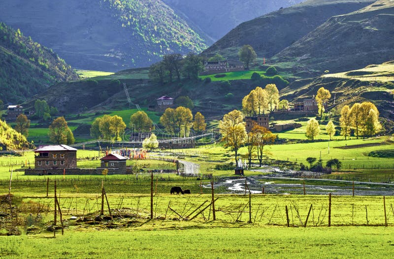 Green Prairie Farm, Mountains Stock Photo - Image of nature, pasture ...