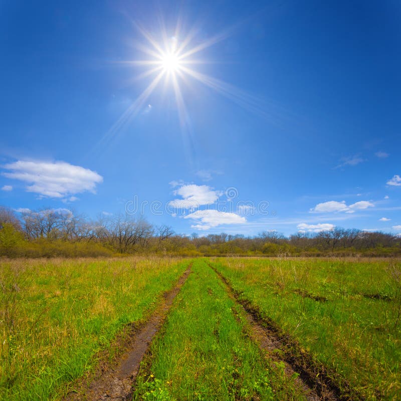 Green Prairie with Ground Road Under a Sparkle Sun Stock Photo - Image ...