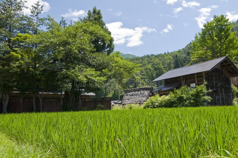 Green prairie home stock photo. Image of field, travel - 22971284