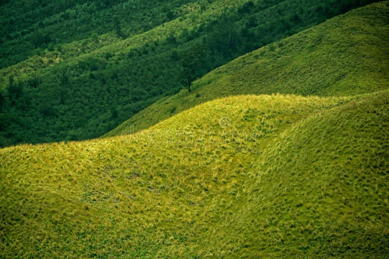 Green Prairie Landscape and Couple of Trees Stock Photo - Image of ...