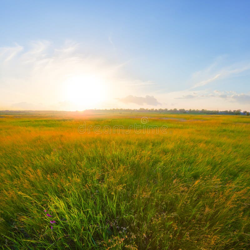30,146 Prairie Sunset Stock Photos - Free & Royalty-Free Stock Photos ...