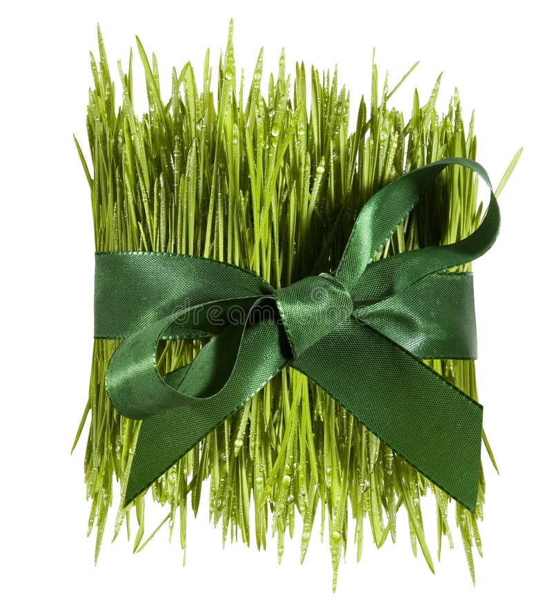 Green present stock image. Image of energy, pollution - 7084907