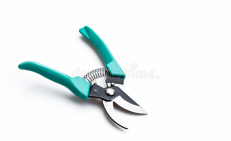 Green Pruning Shears Placed White Background Stock Photos - Free ...