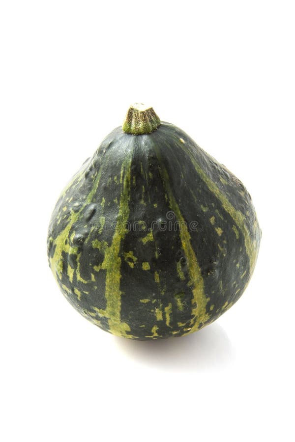 Green white pumpkin stock image. Image of colourful, gourd - 26897315