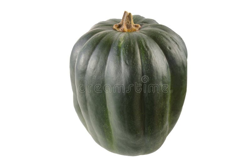 Green Pumpkin with Broken Stem Stock Image - Image of autumn ...