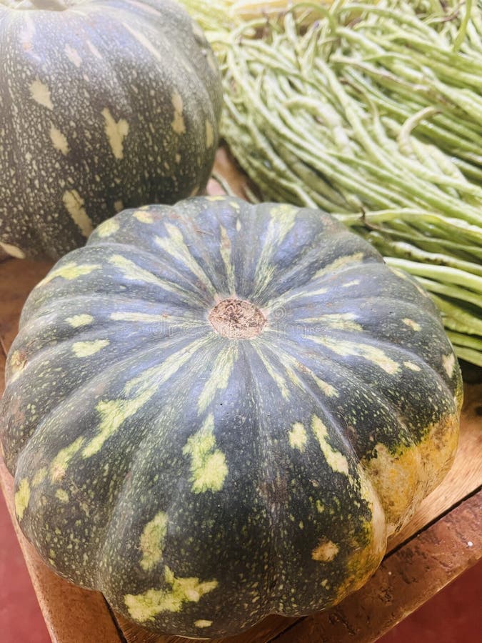 Green Pumpkin stock photo. Image of assortment, green - 260712144