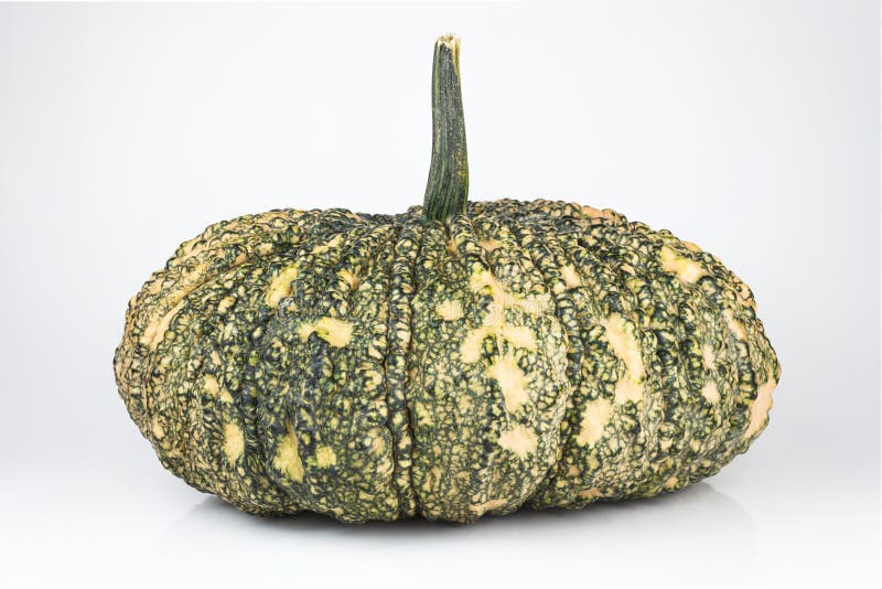 Green pumpkin stock image. Image of green, market, fresh - 33725523
