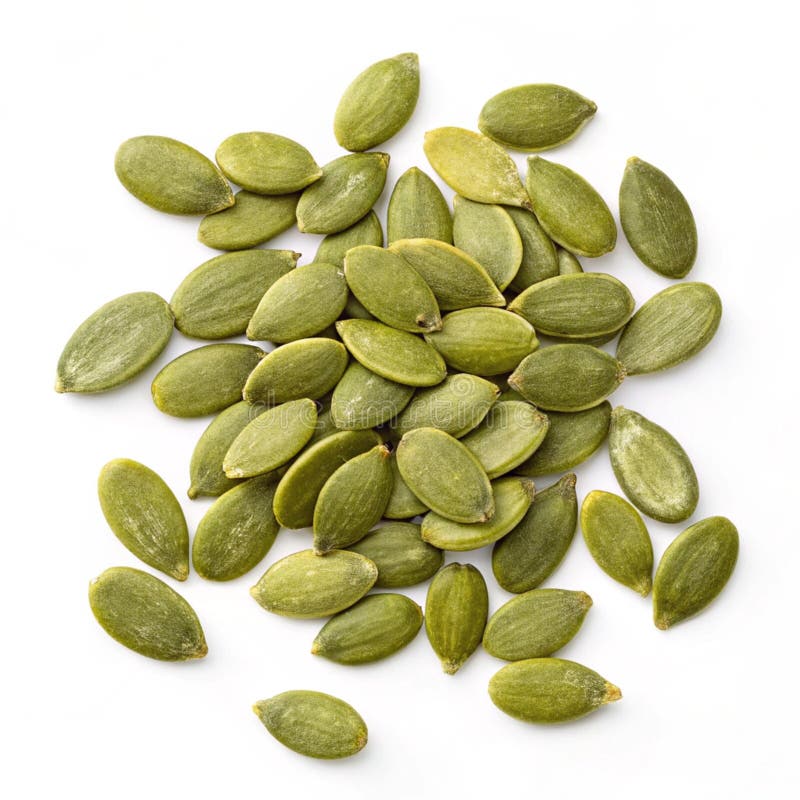 Green Pumpkin Seeds Isolated on White Background Stock Illustration ...