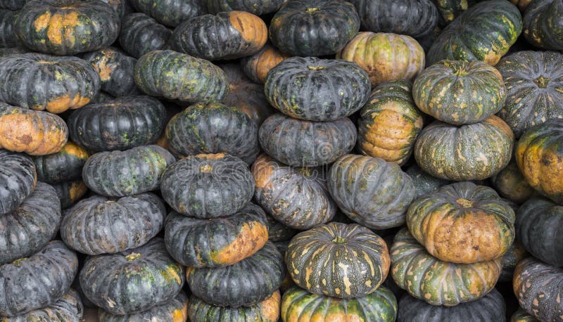 Wattakka mal stock photo. Image of gurden, beautyful - 117352082