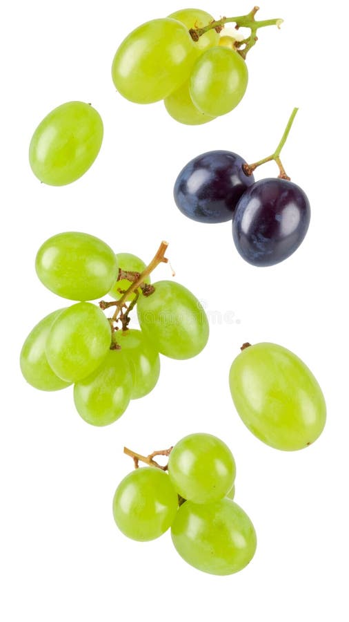 Green and Purple Grapes Falling on a Transparent Background, Creating a ...