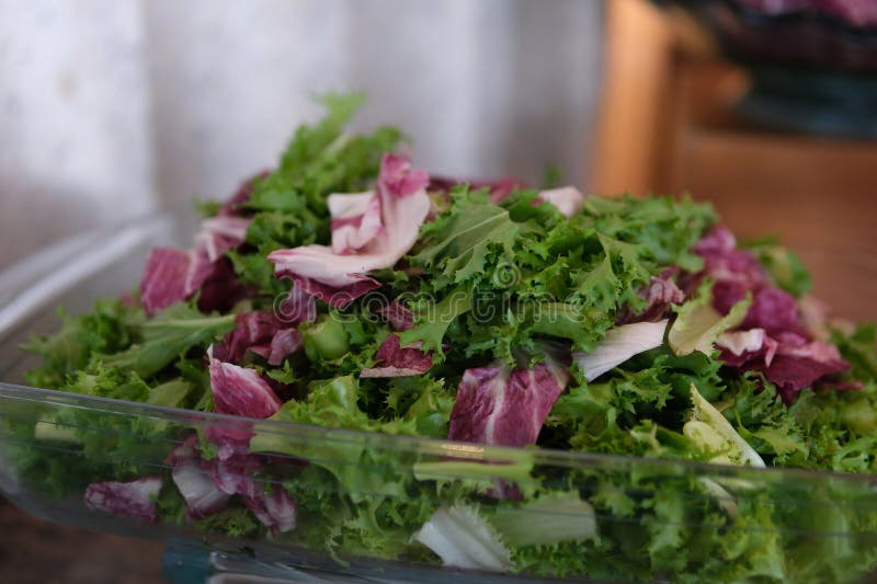 Green and Purple Lettuce Leaves in Plate in a Buffet Stock Photo ...