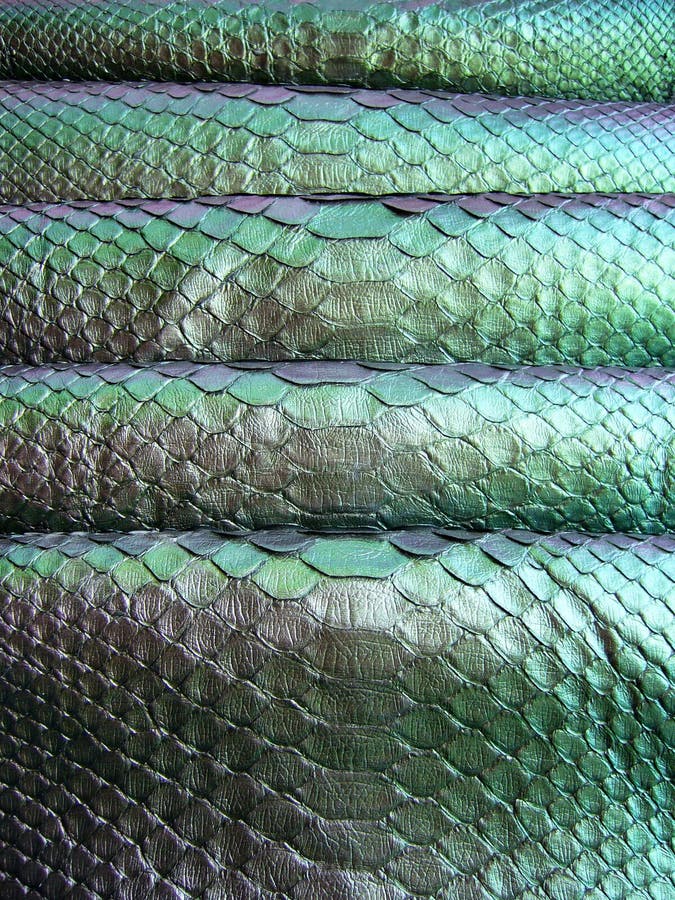 Green python skin snake. stock photo. Image of python - 206506448