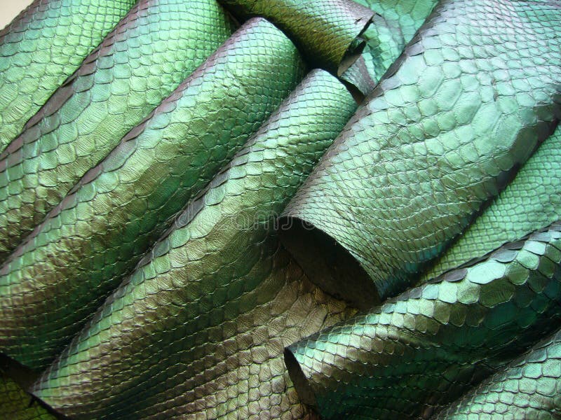Green python skin snake. stock image. Image of plant - 206506501
