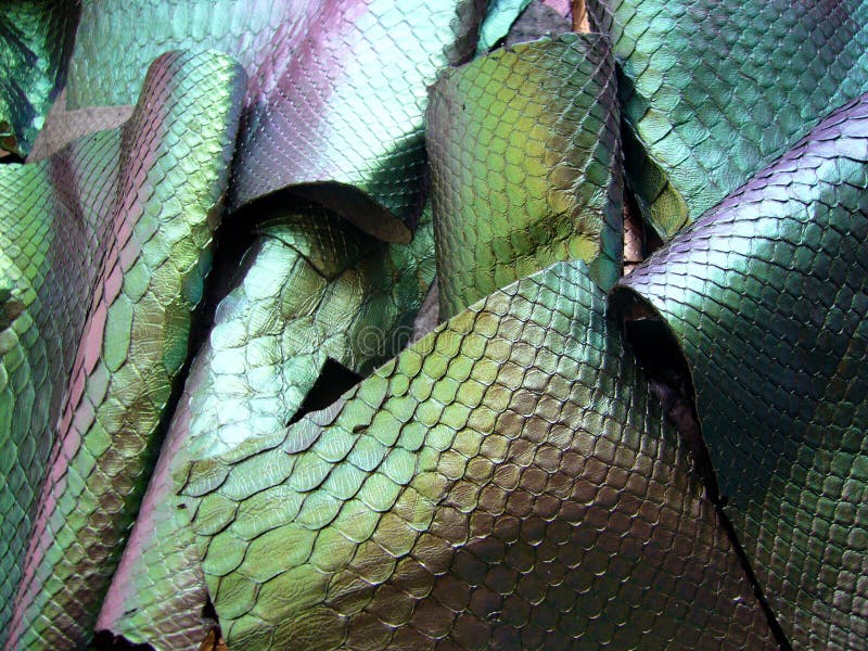 Green python skin snake. stock image. Image of design - 206506505