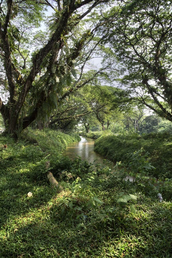 Green Quiet Pathway through the Foliage Canopy Shade Landscape Stock ...