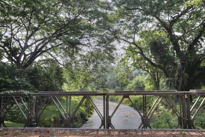 Green Quiet Pathway through the Foliage Canopy Shade Landscape Stock ...