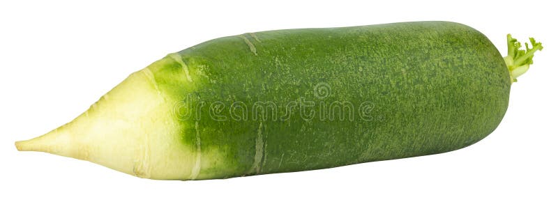Green Radish Isolated on a White Background Stock Image - Image of ...