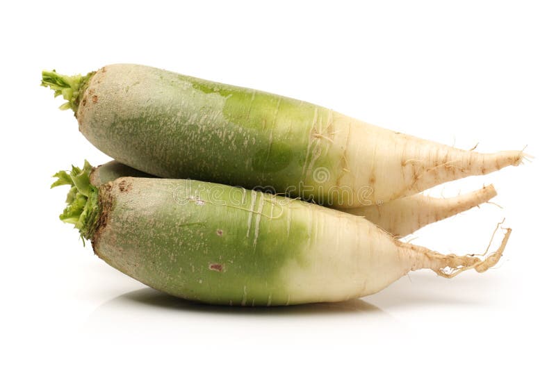 Whole single green radish stock photo. Image of background - 20433040